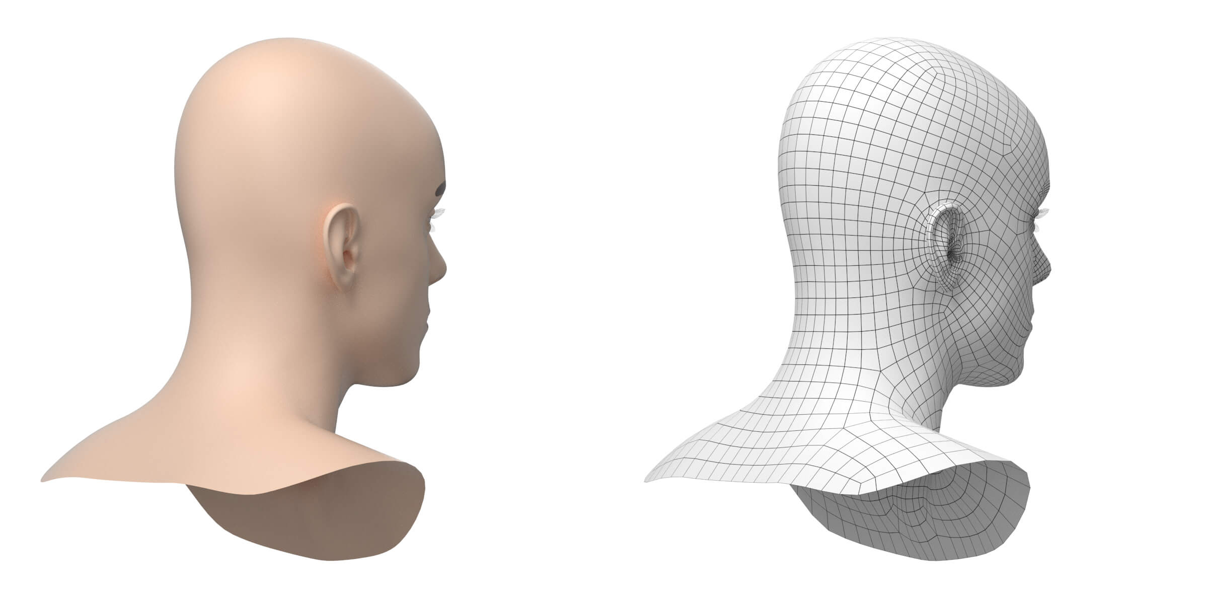 Natural Male Head 03 Base Mesh - 3D Model by Valerii-Kaliuzhnyi