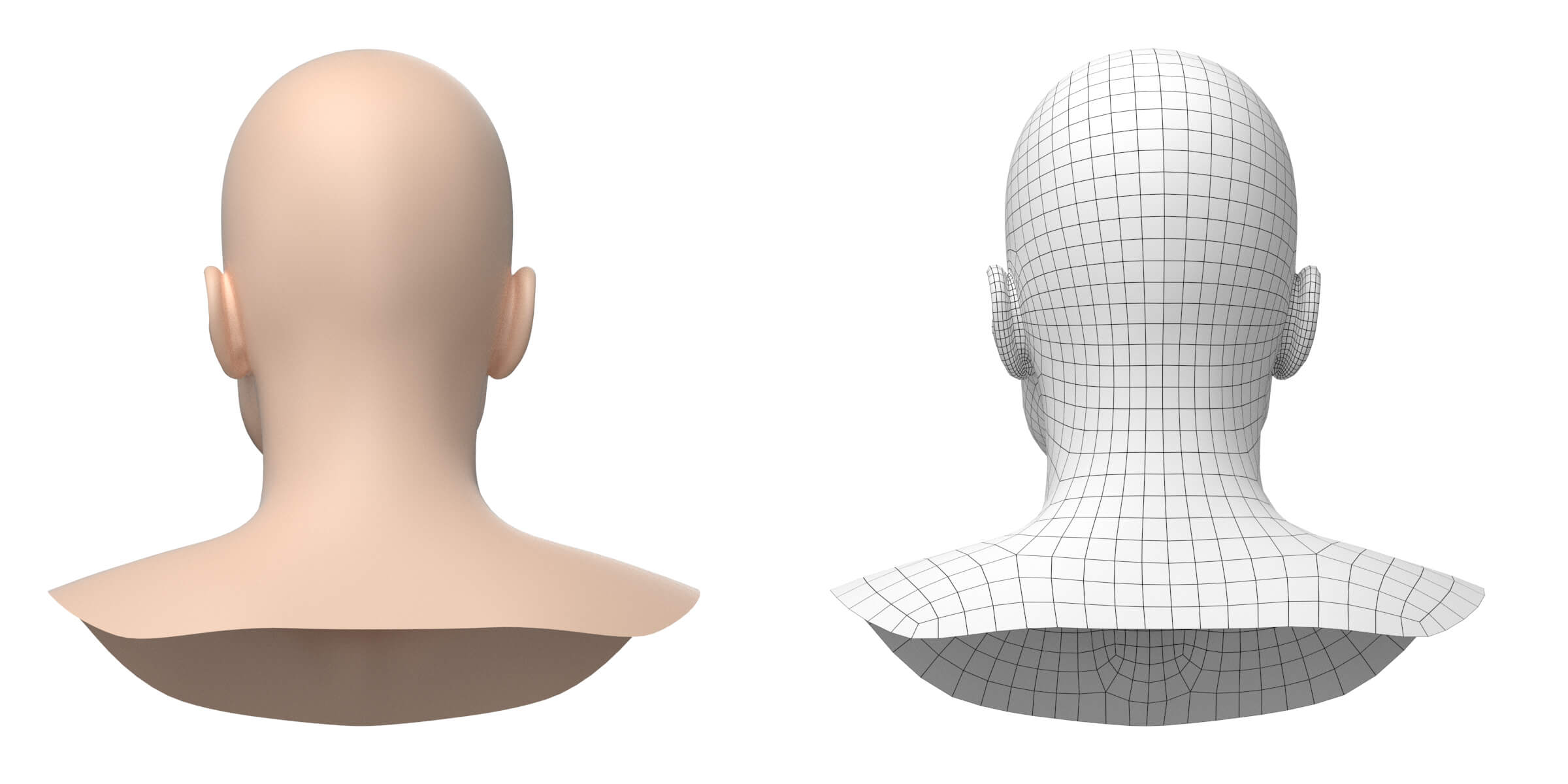 Natural Male Head 03 Base Mesh - 3D Model by Valerii-Kaliuzhnyi