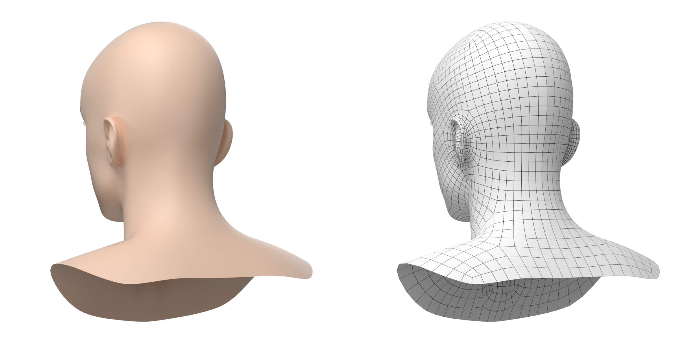 Natural Male Head 03 Base Mesh - 3D Model by Valerii-Kaliuzhnyi