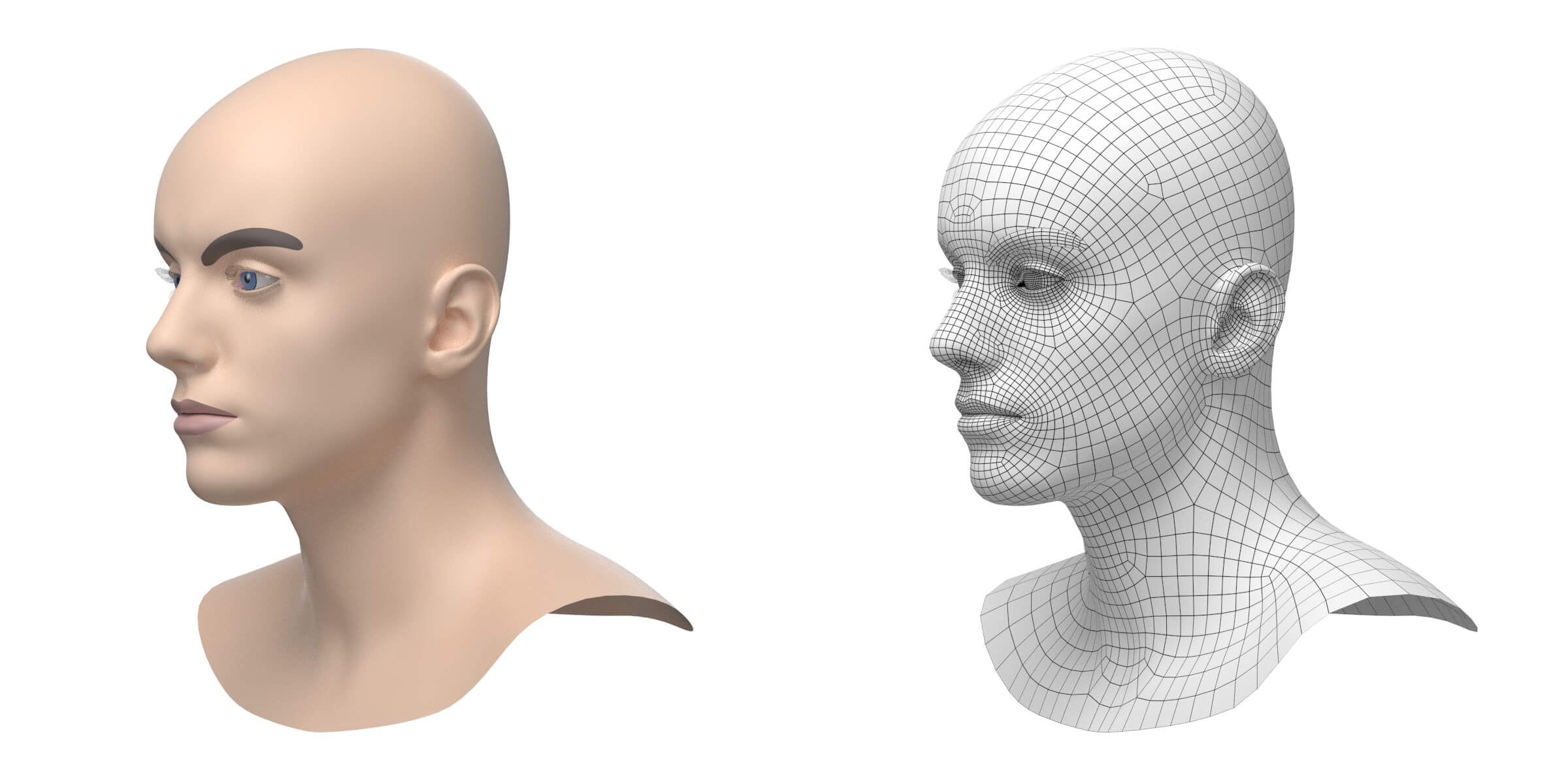 Natural Male Head 03 Base Mesh - 3D Model by Valerii-Kaliuzhnyi