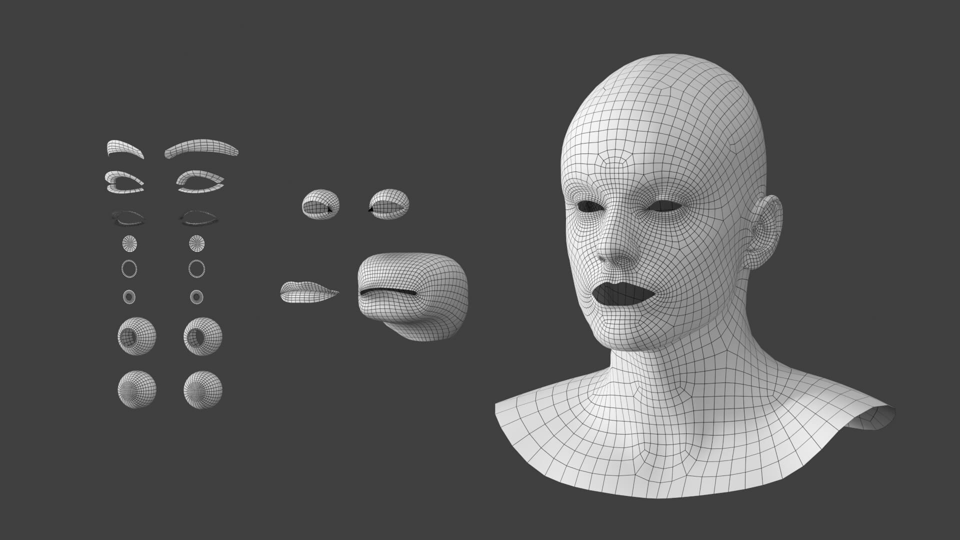 Natural Male Head 03 Base Mesh - 3D Model by Valerii-Kaliuzhnyi