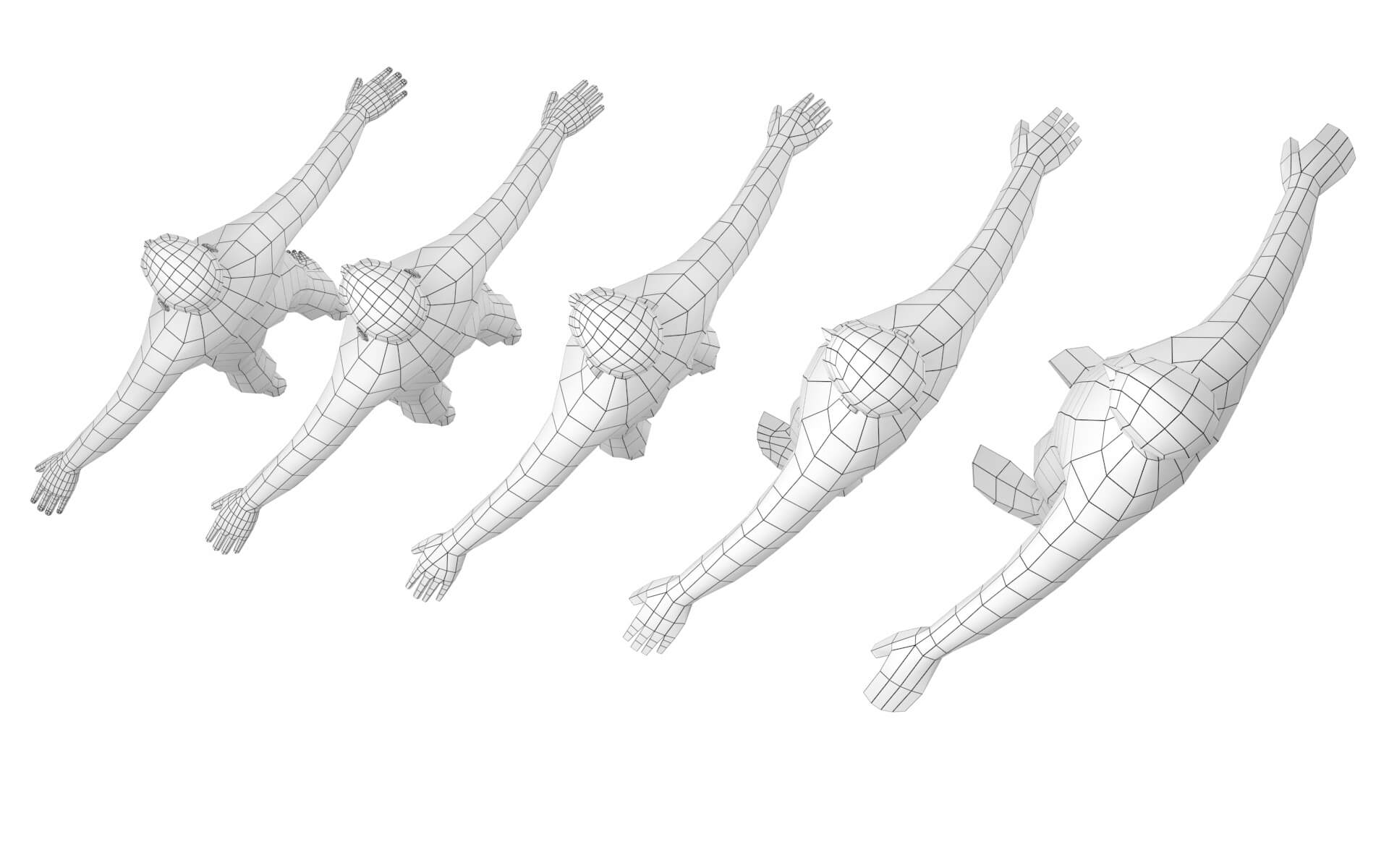 Natural Male in A-Pose in 5 Topologies 3D Model by Valerii-Kaliuzhnyi