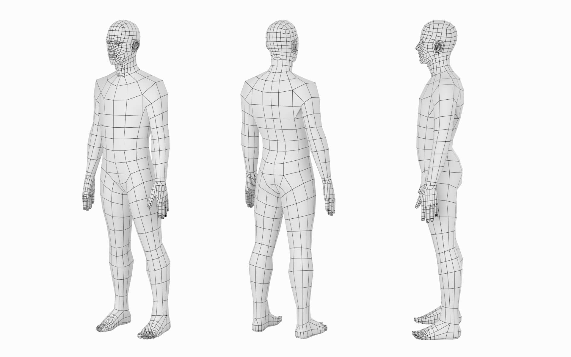 Natural Male in Rest Pose in 5 Topologies - 3D Model by Valerii-Kaliuzhnyi