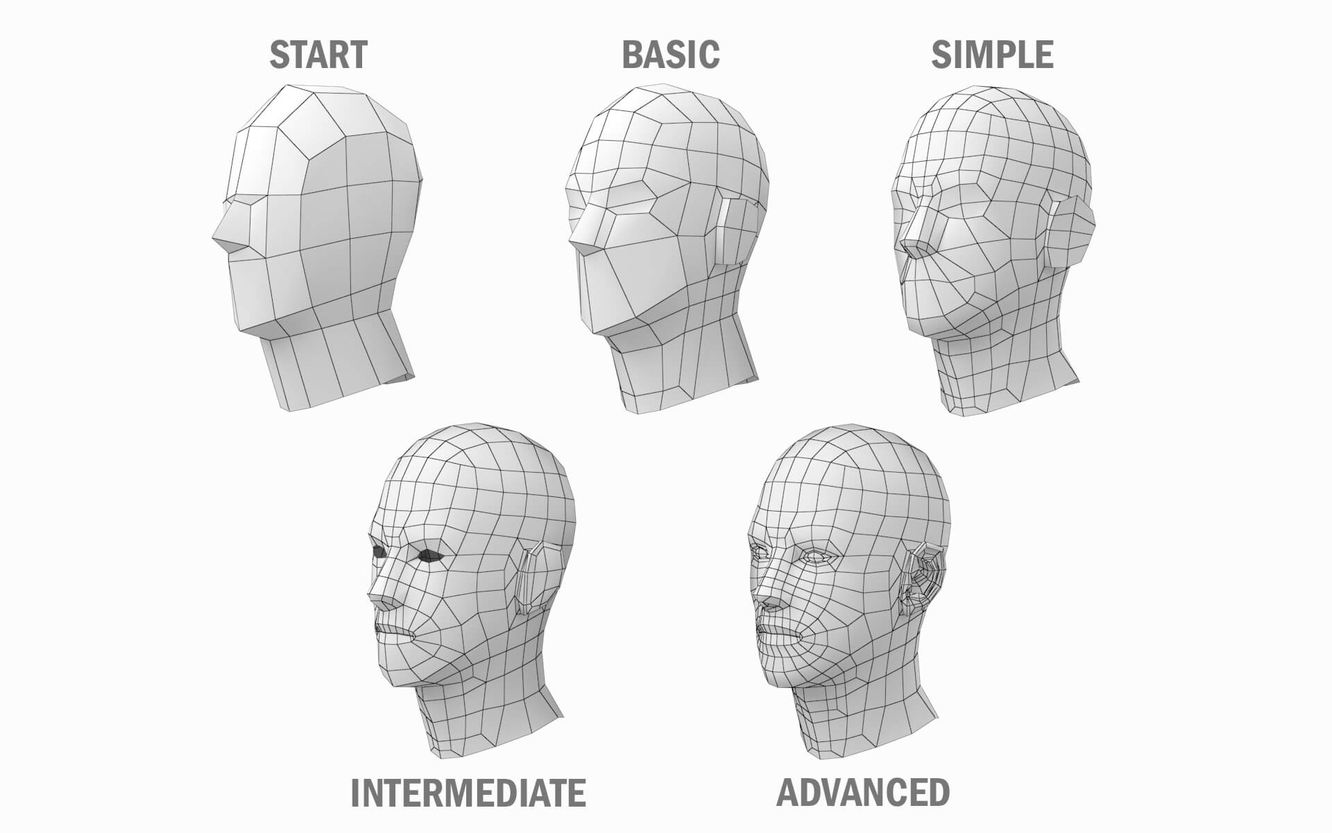 Natural Male in Rest Pose in 5 Topologies - 3D Model by Valerii-Kaliuzhnyi