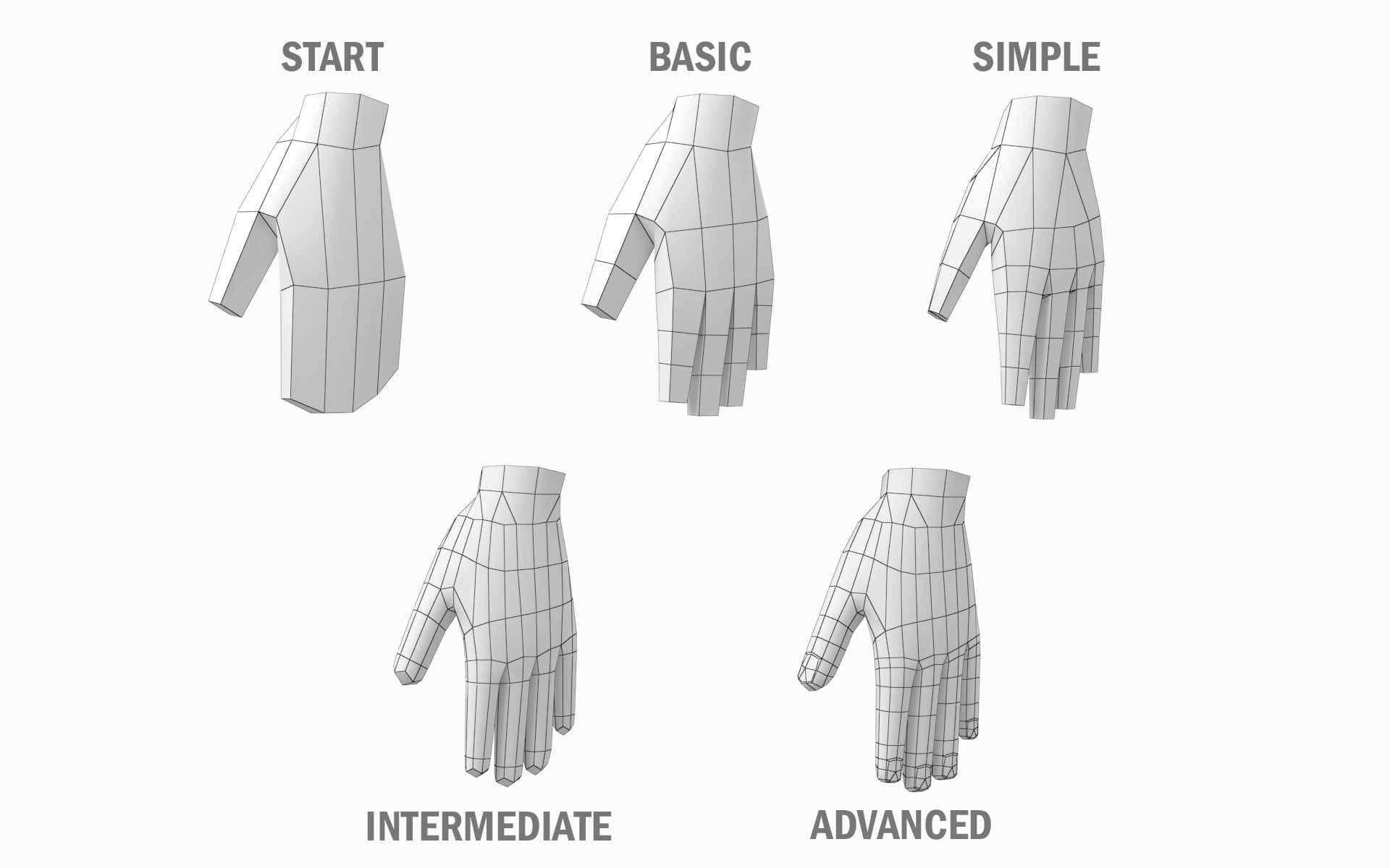 Natural Male in Rest Pose in 5 Topologies - 3D Model by Valerii-Kaliuzhnyi