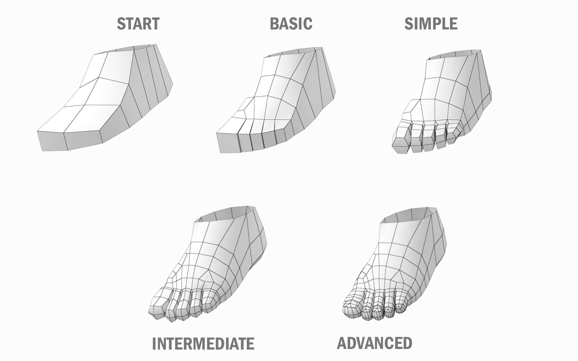 Natural Male in Rest Pose in 5 Topologies - 3D Model by Valerii-Kaliuzhnyi