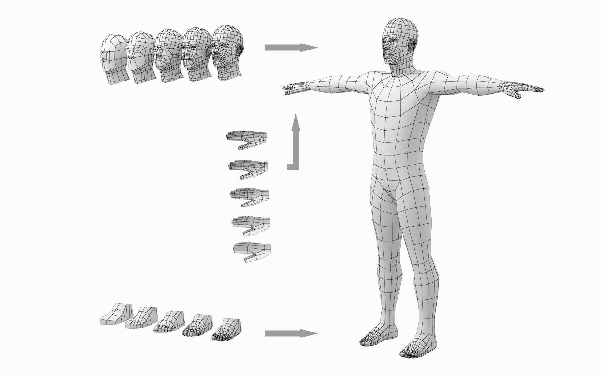 Natural Male in T-Pose in 5 Topologies 3D Model by Valerii-Kaliuzhnyi