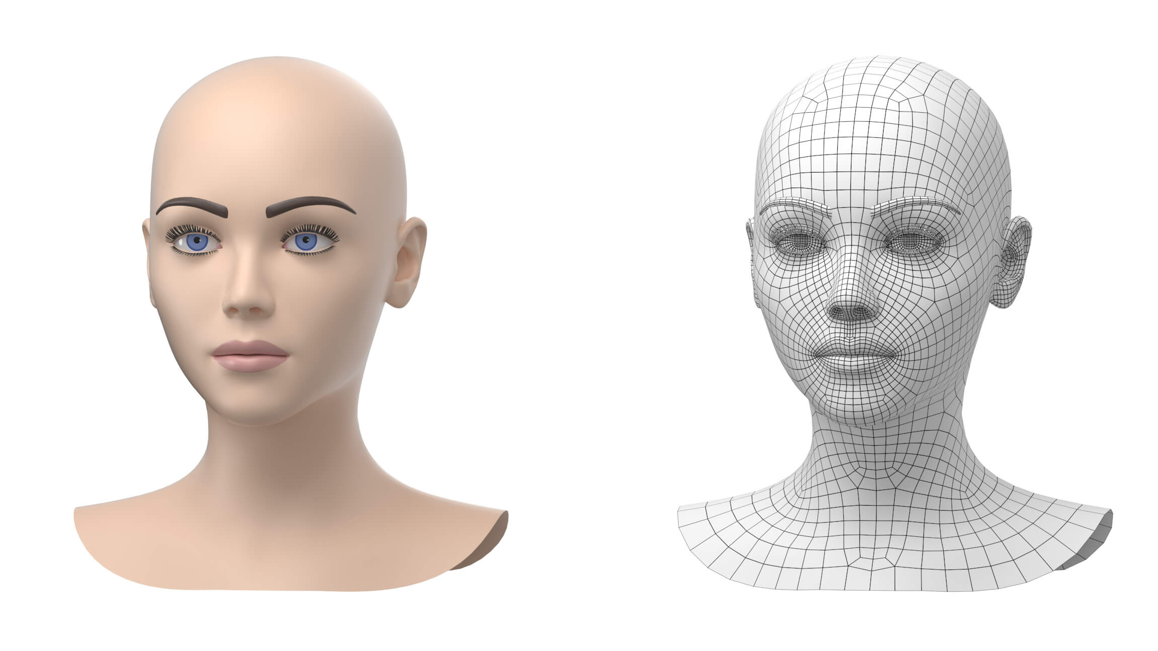 Stylized Female 01 Head Base Mesh - 3D Model by Valerii-Kaliuzhnyi