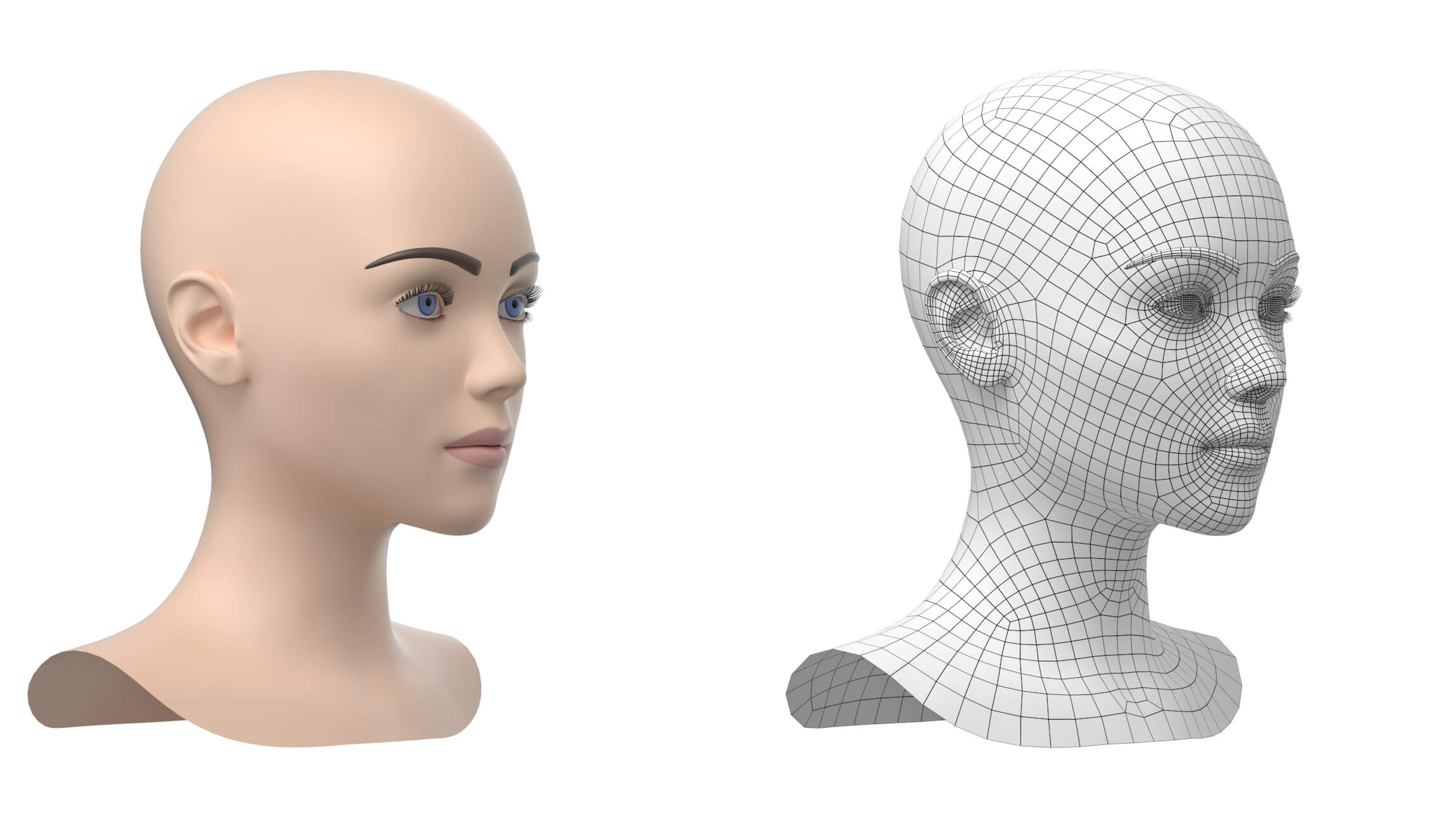 Stylized Female 01 Head Base Mesh - 3D Model by Valerii-Kaliuzhnyi