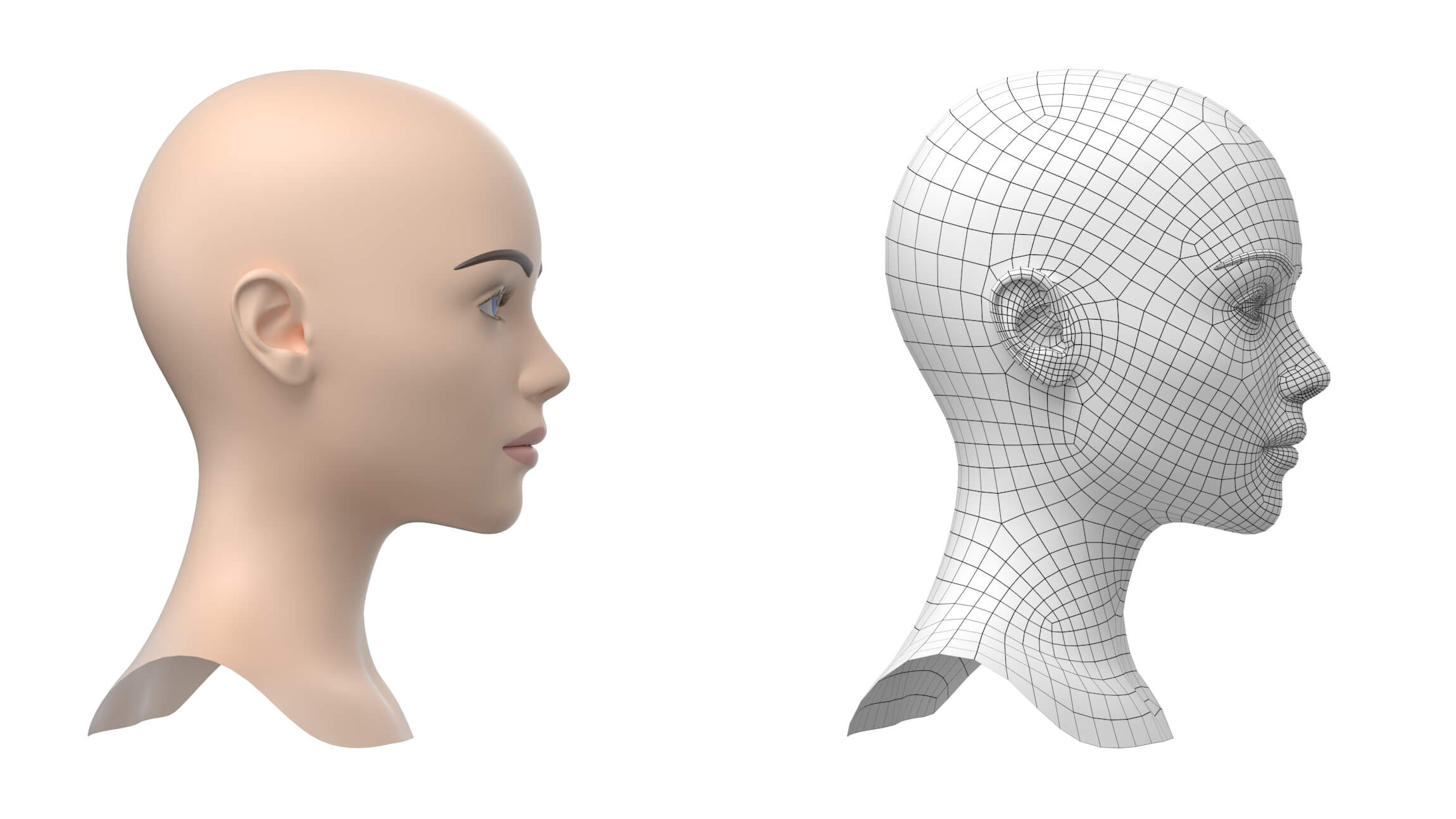 Stylized Female 01 Head Base Mesh - 3D Model by Valerii-Kaliuzhnyi