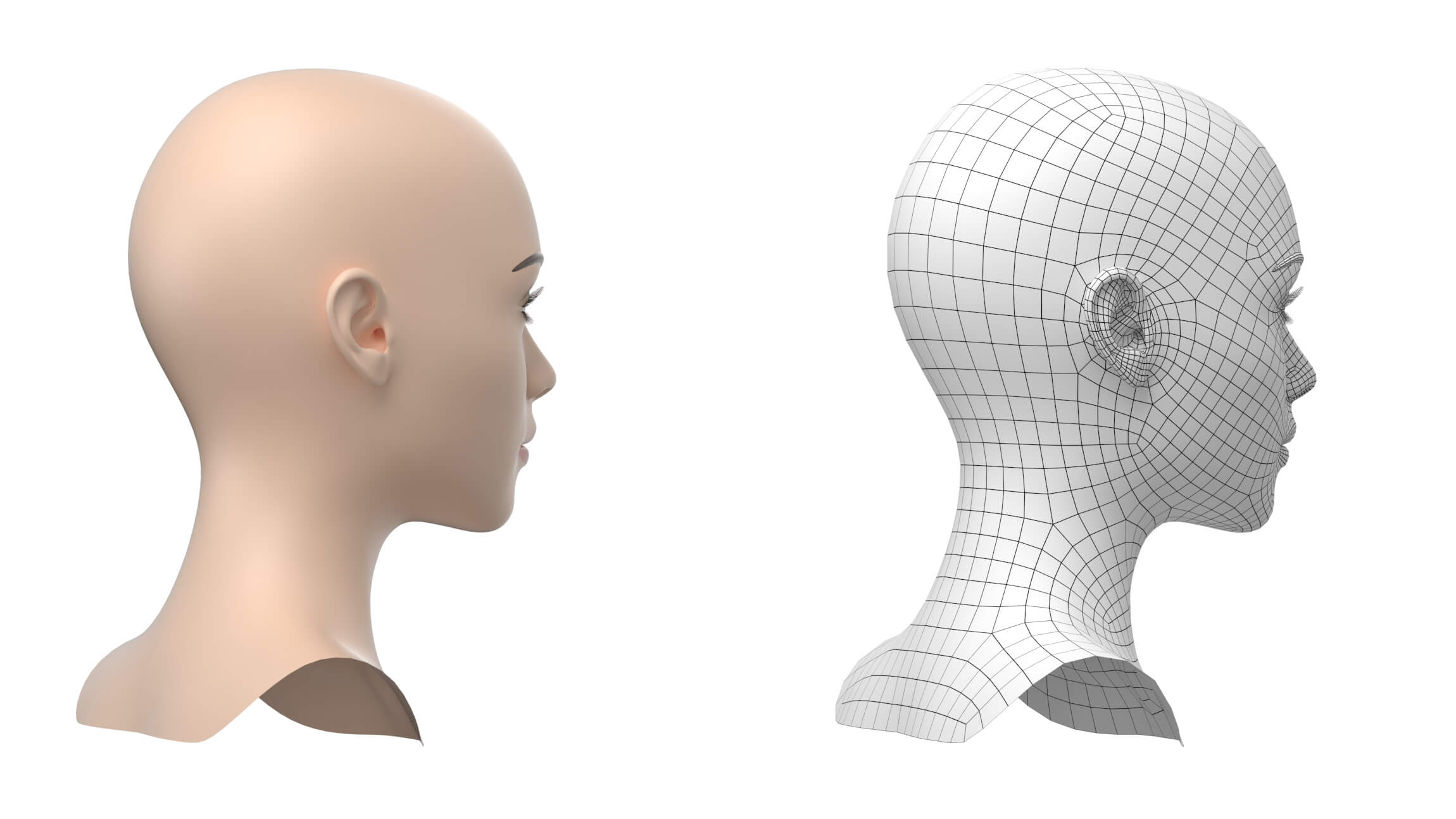 Stylized Female 01 Head Base Mesh - 3D Model by Valerii-Kaliuzhnyi