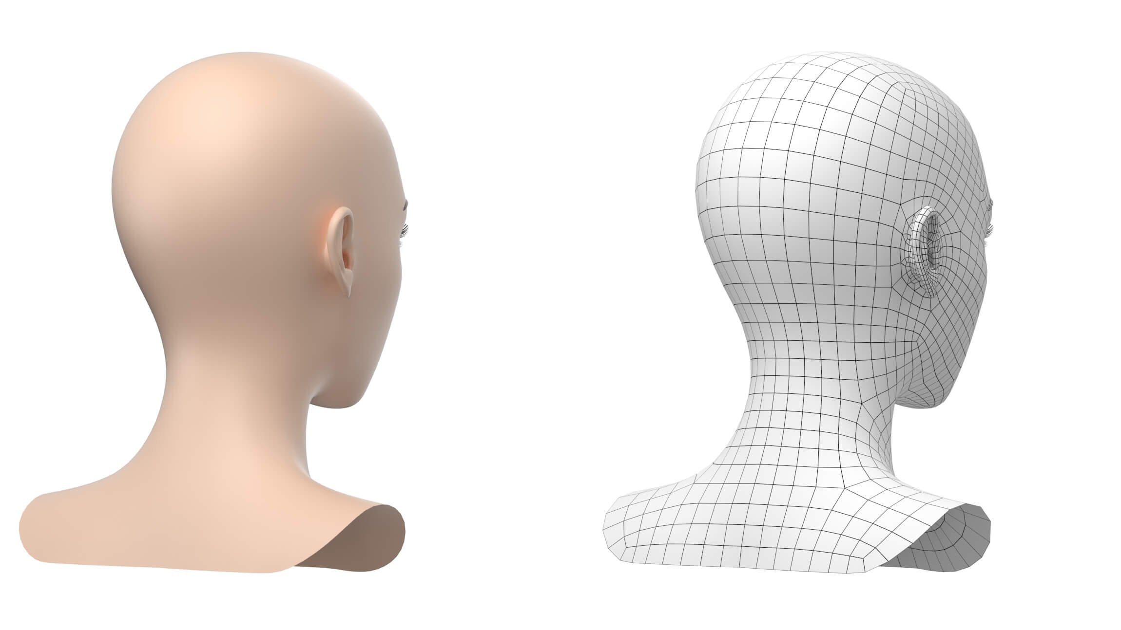 Stylized Female 01 Head Base Mesh - 3D Model by Valerii-Kaliuzhnyi