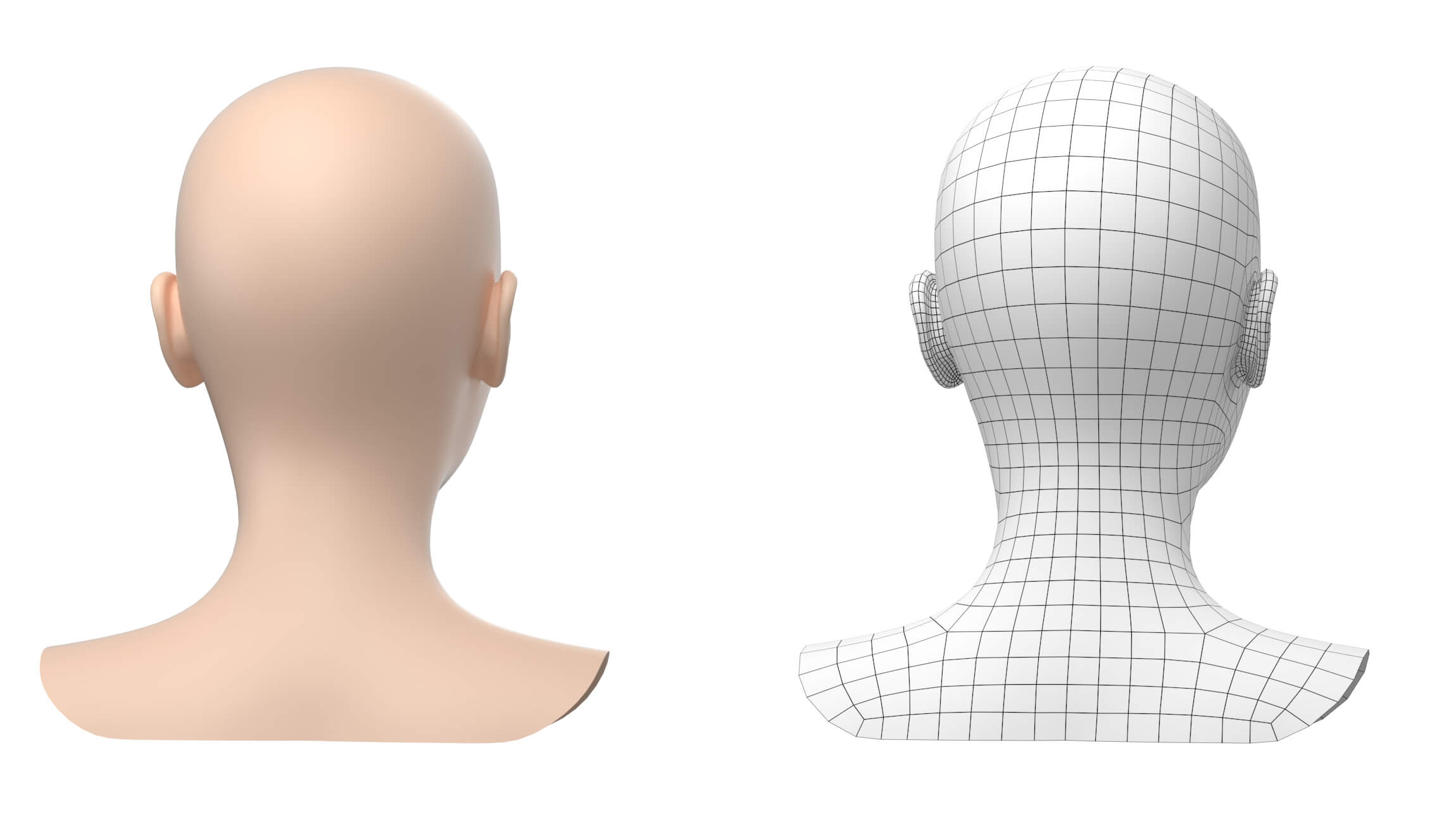 Stylized Female 01 Head Base Mesh - 3D Model by Valerii-Kaliuzhnyi