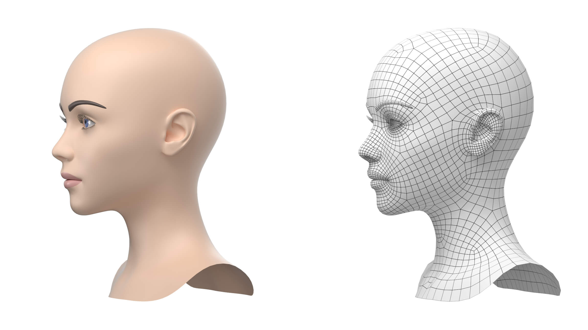 Stylized Female 01 Head Base Mesh - 3D Model by Valerii-Kaliuzhnyi