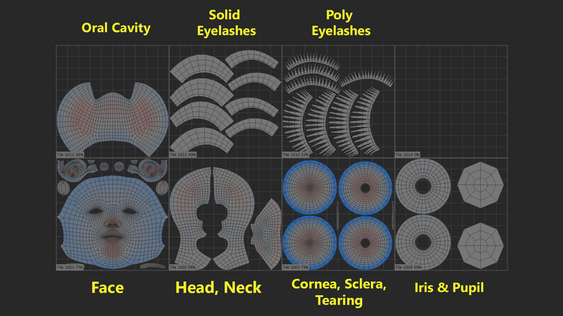 Stylized Female 01 Head Base Mesh - 3D Model by Valerii-Kaliuzhnyi