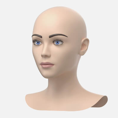 Stylized Female 01 Head Base Mesh - 3D Model by Valerii-Kaliuzhnyi