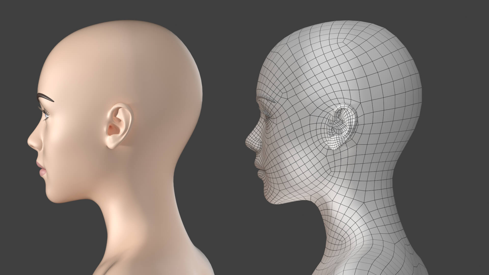 Stylized Female 01 T-Pose Base Mesh 3D Model by Valerii-Kaliuzhnyi