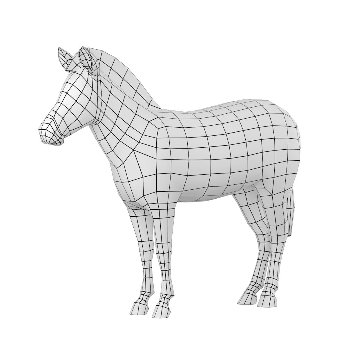 Zebra Animal Base Mesh - 3D Model by Valerii-Kaliuzhnyi