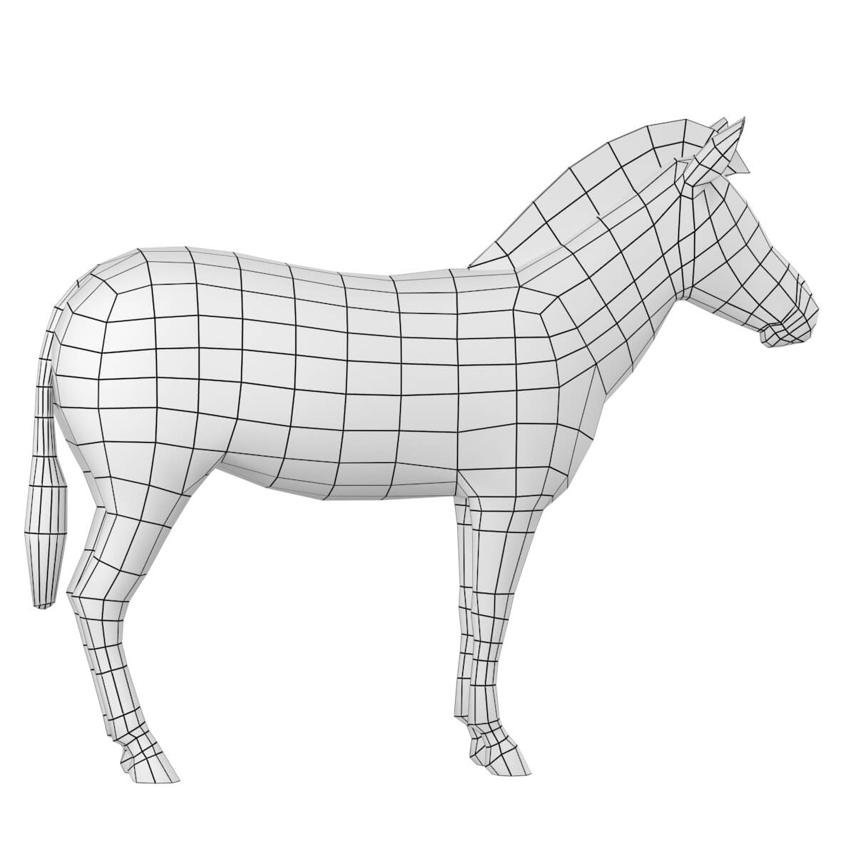 Zebra Animal Base Mesh - 3D Model by Valerii-Kaliuzhnyi