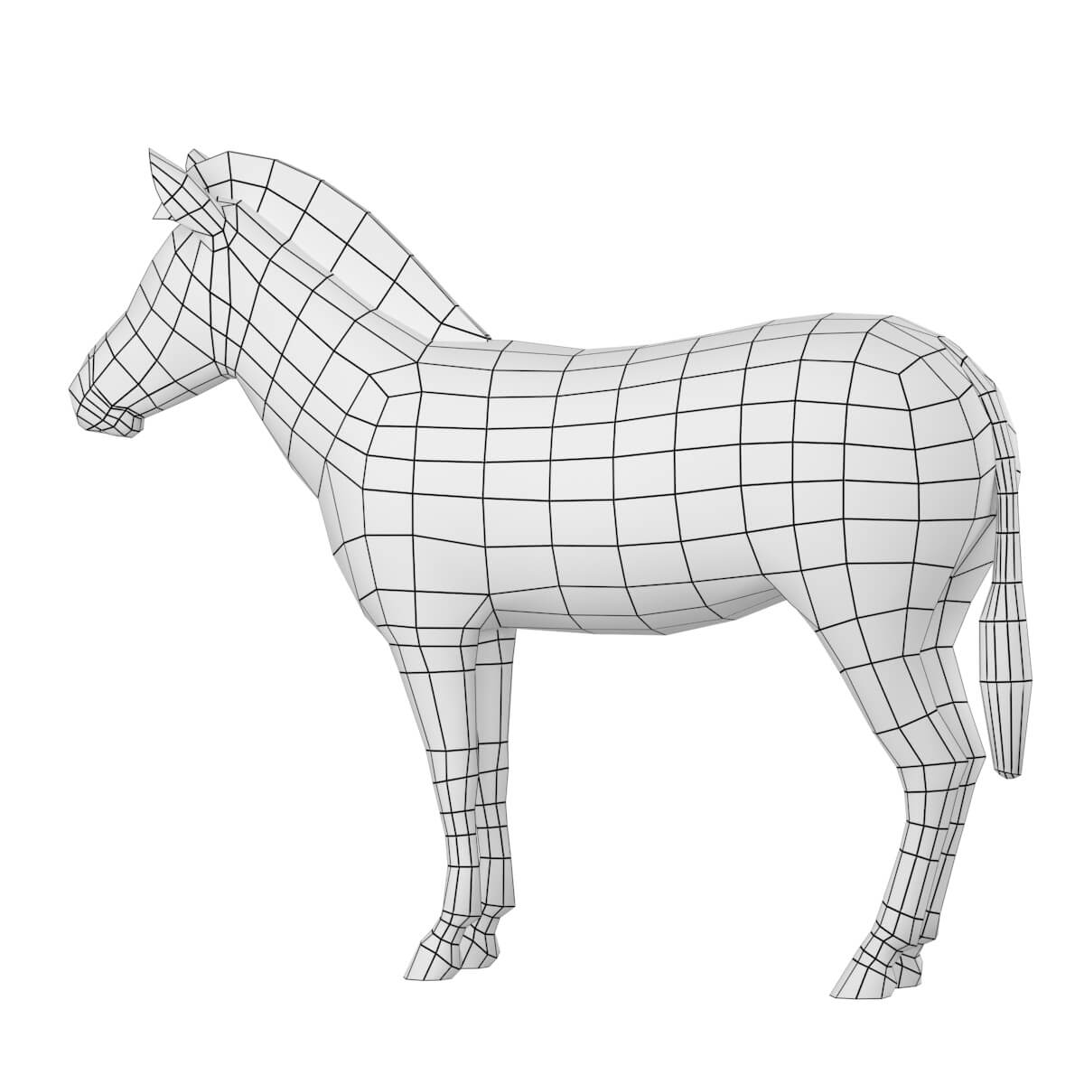 Zebra Animal Base Mesh - 3D Model by Valerii-Kaliuzhnyi