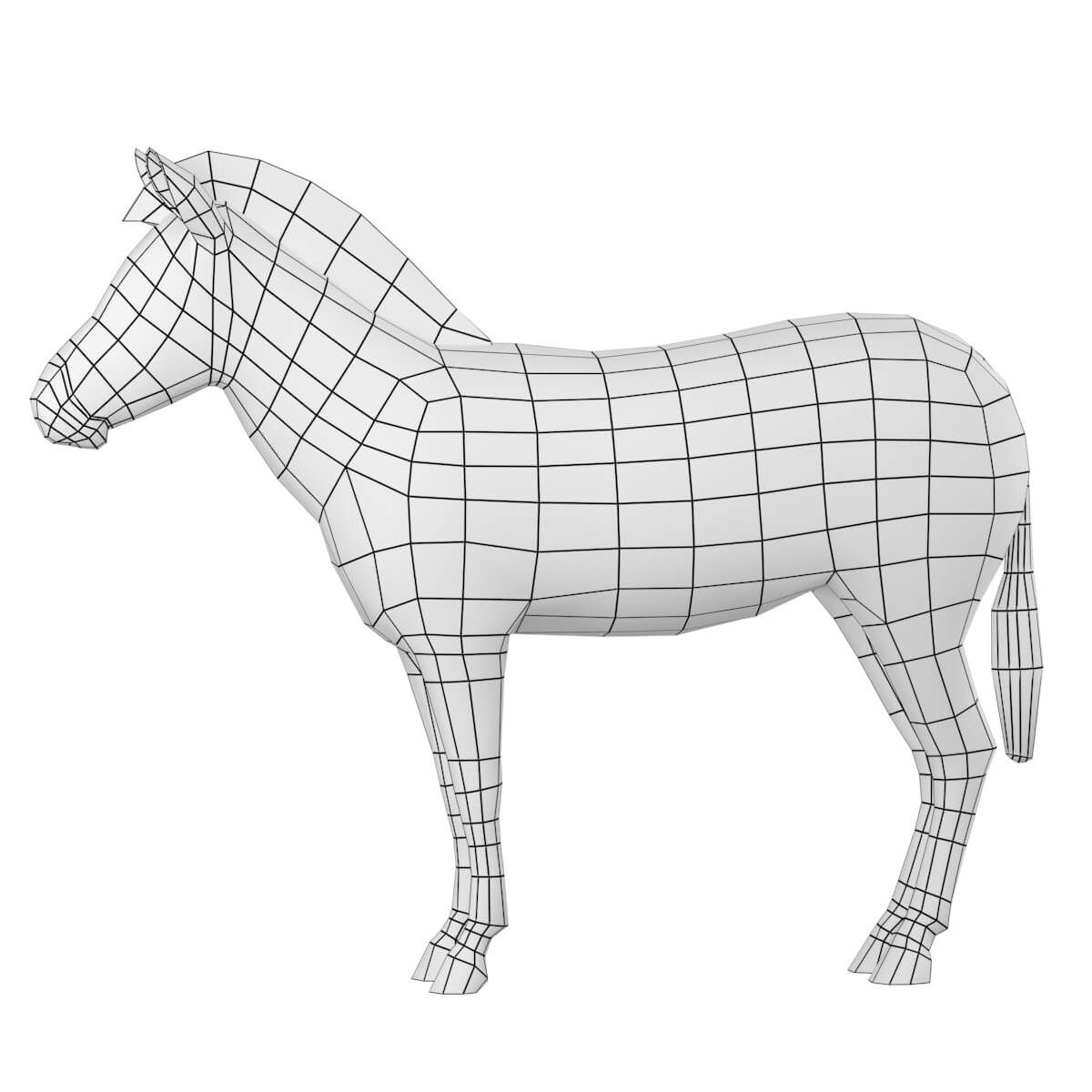 Zebra Animal Base Mesh - 3D Model by Valerii-Kaliuzhnyi