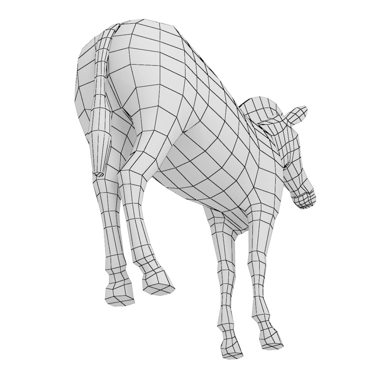 Zebra Animal Base Mesh - 3D Model by Valerii-Kaliuzhnyi