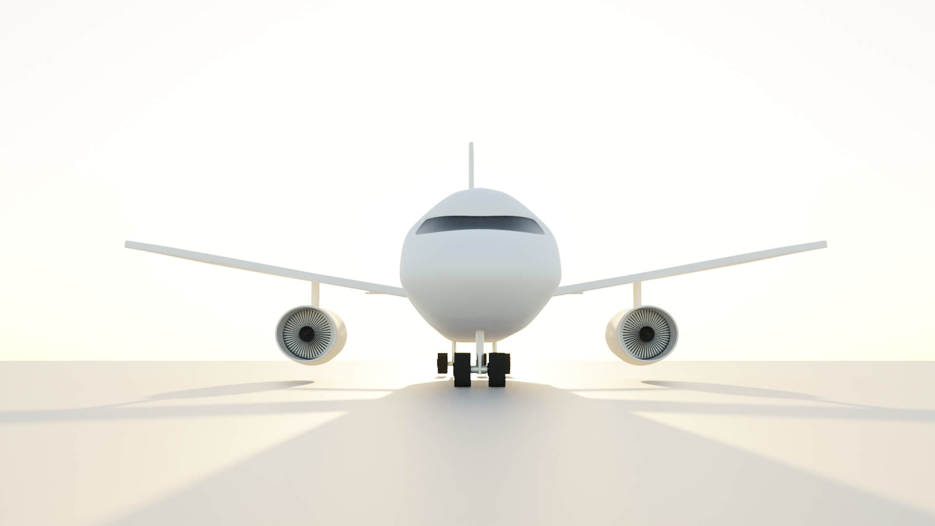 Airplane for Airline Compains - 3D Model by vanpider