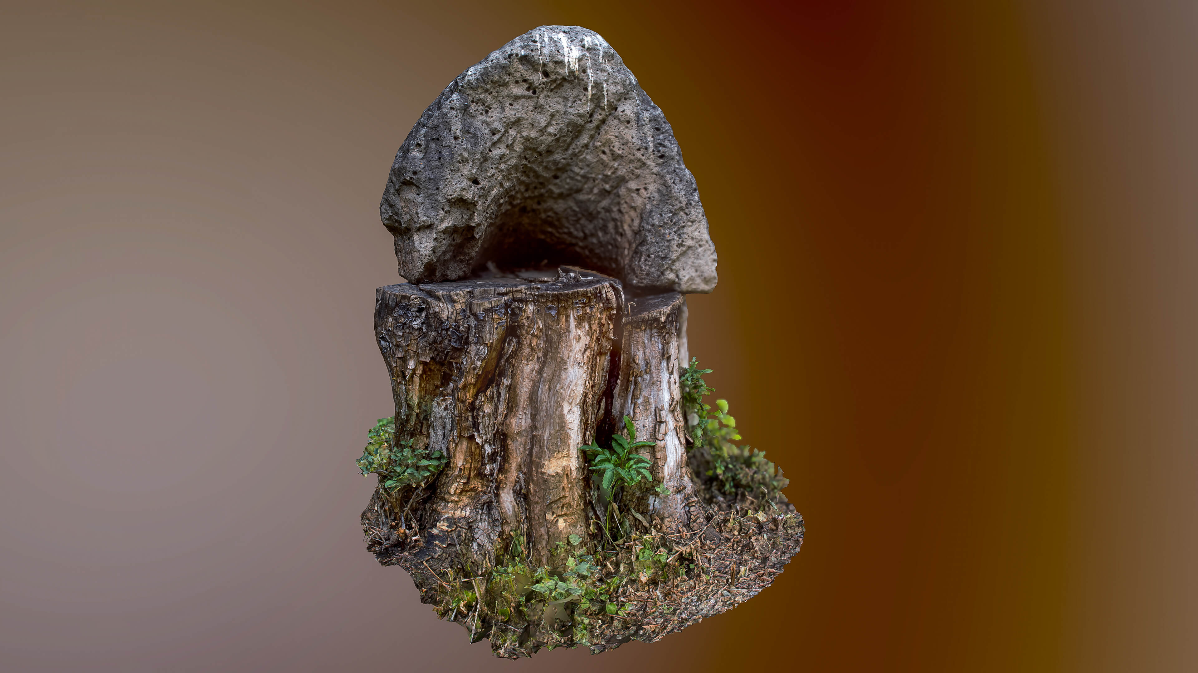 Stamp and Stone Photogrammetry - 3D Model by vardanvh