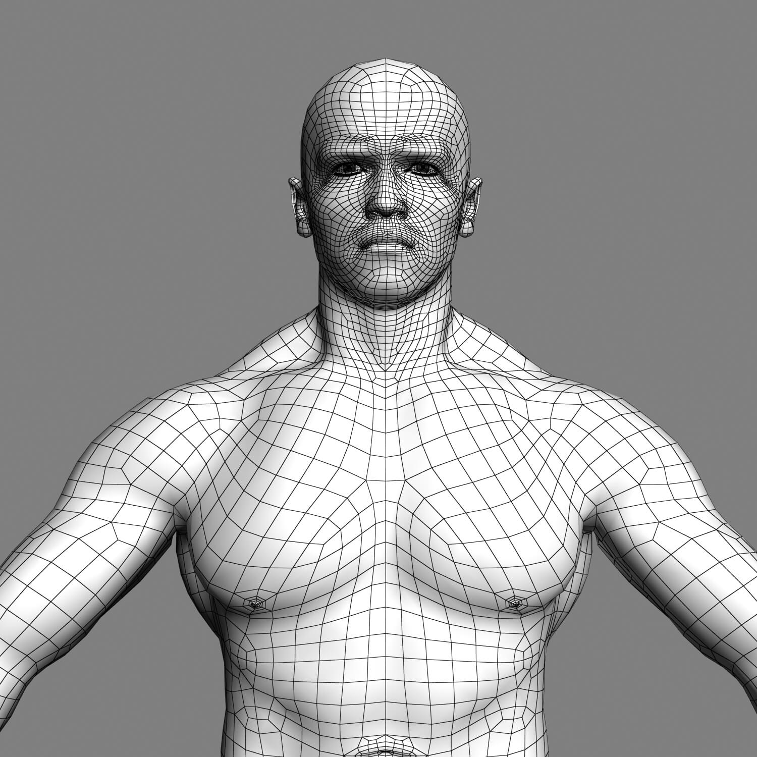 Arnold Schwarzenegger Body - 3D Model by vefilanna