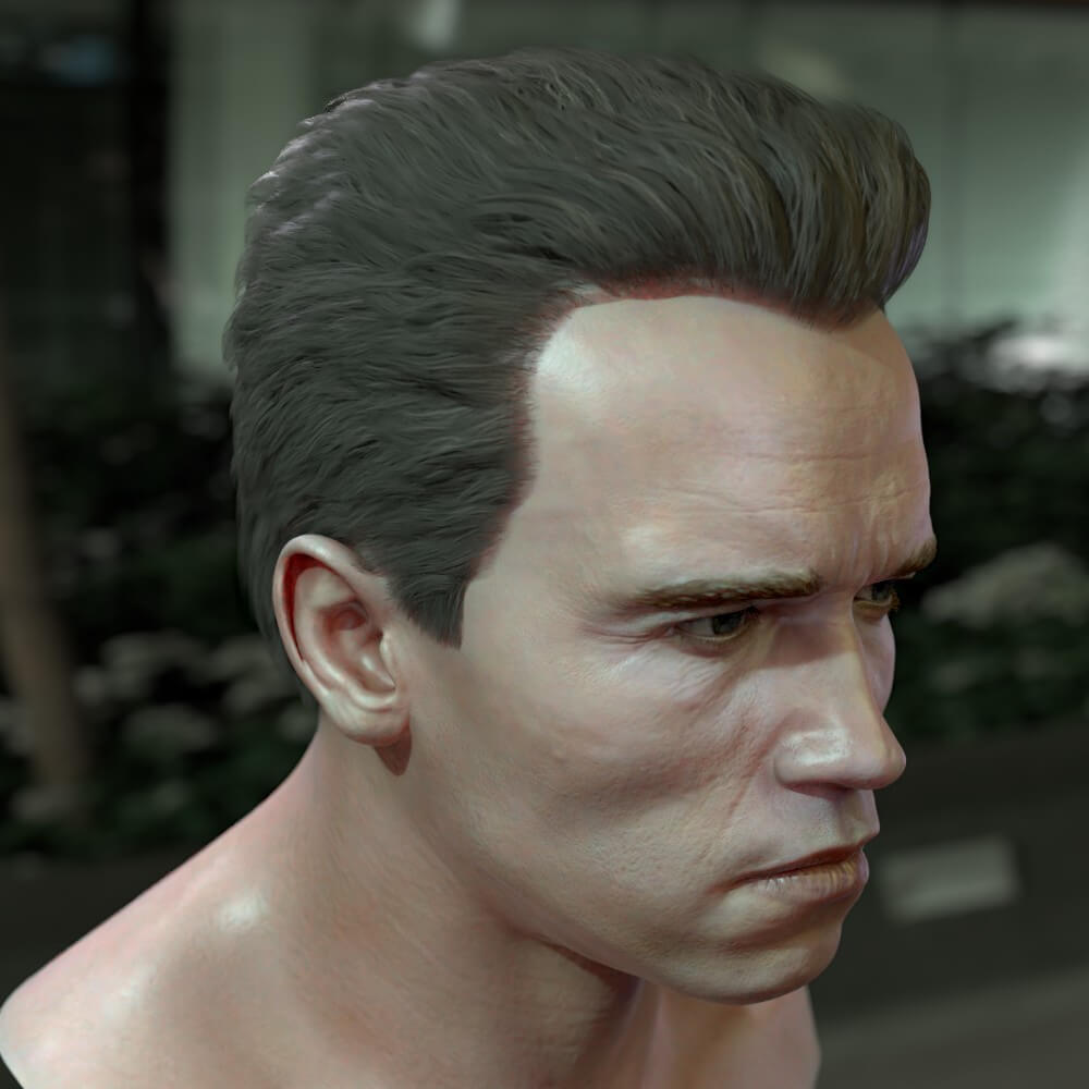 Arnold Schwarzenegger Head - 3D Model by vefilanna