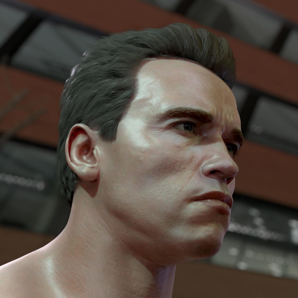 3D Model Arnold Schwarzenegger Head by vefilanna