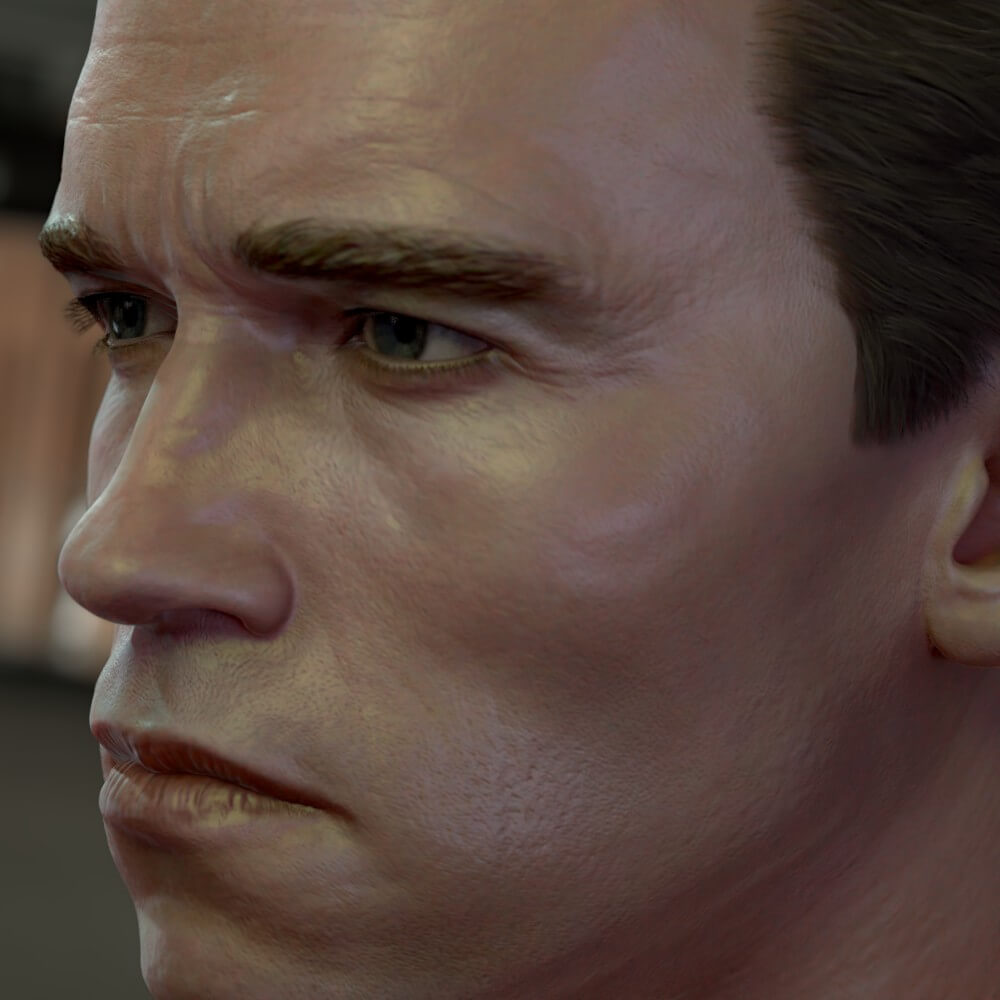 3D Model Arnold Schwarzenegger Head by vefilanna