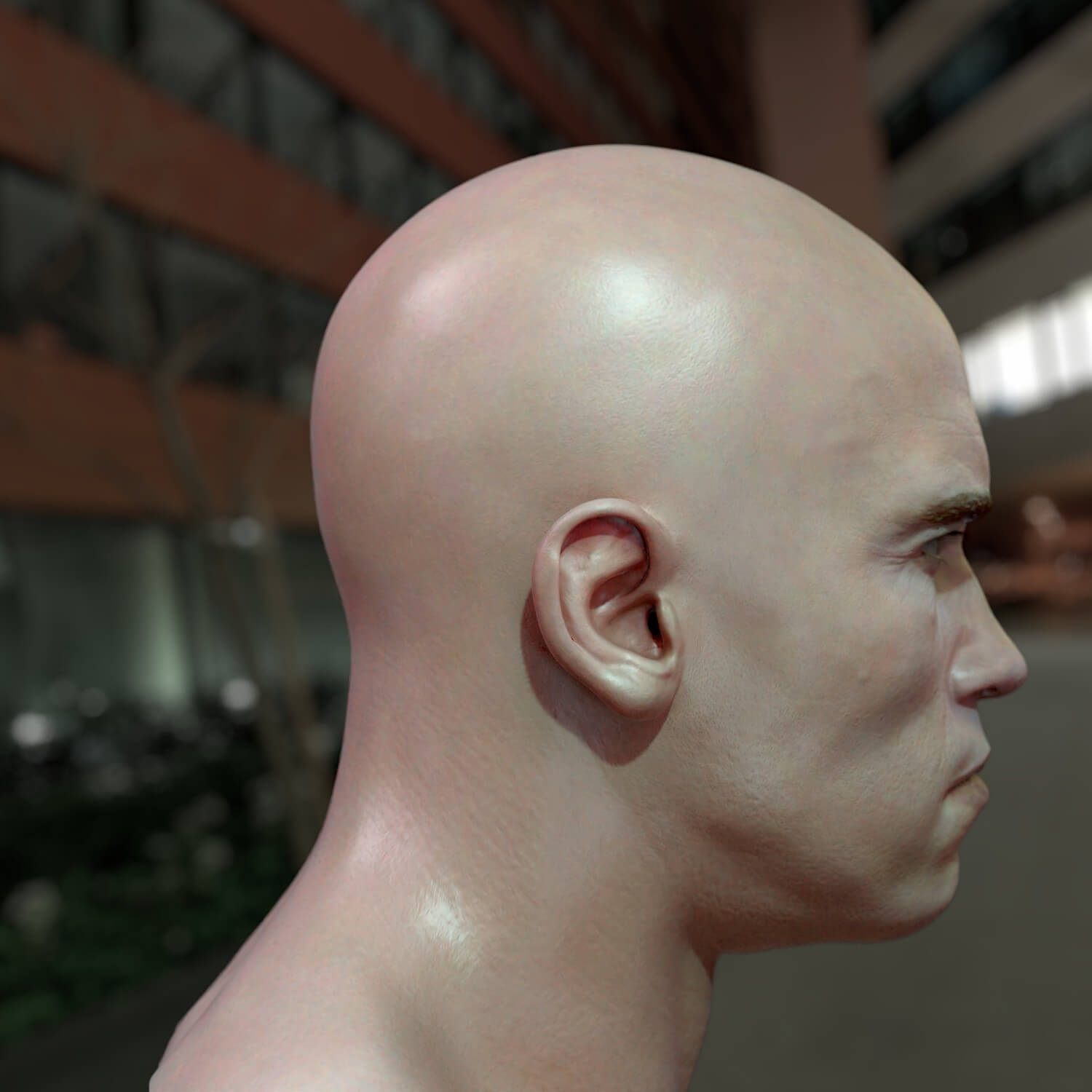 3D Model Arnold Schwarzenegger Head by vefilanna