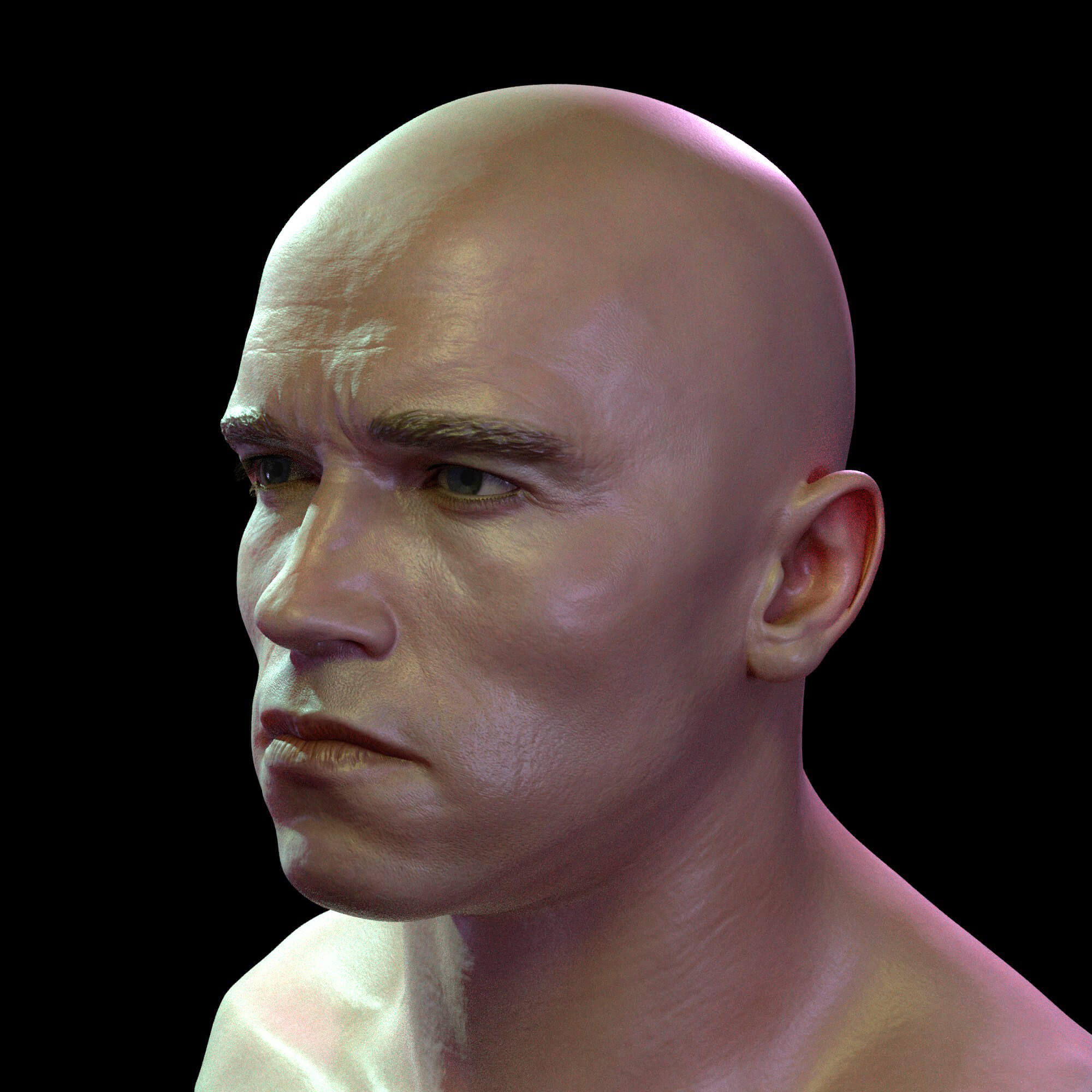 Arnold Schwarzenegger Head - 3D Model by vefilanna