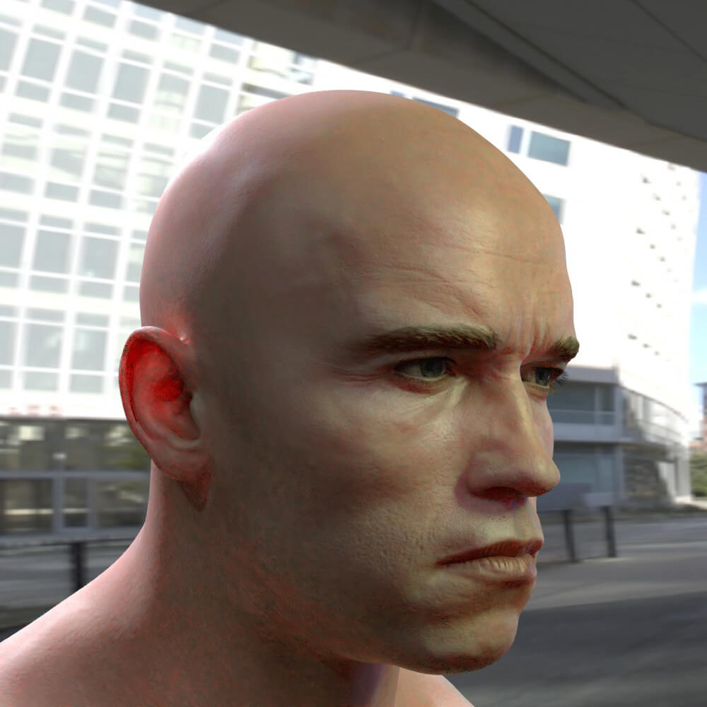 3D Model Arnold Schwarzenegger Head by vefilanna