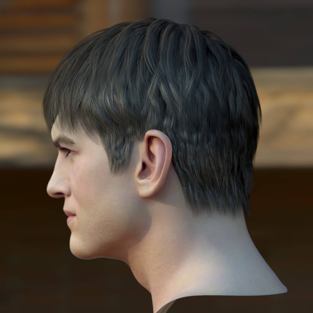 Ashton Kutcher Head - 3D Model by vefilanna
