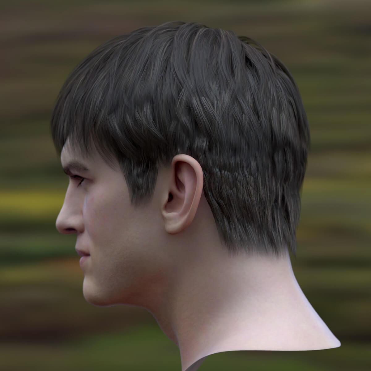 Ashton Kutcher Head - 3D Model by vefilanna