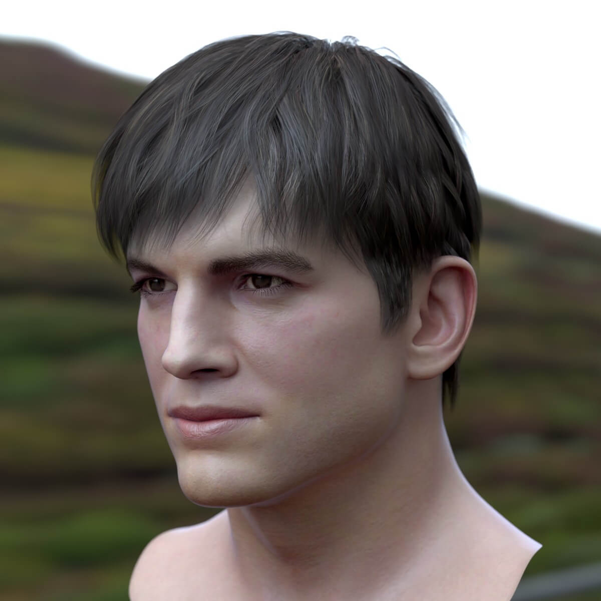 Ashton Kutcher Head - 3D Model by vefilanna