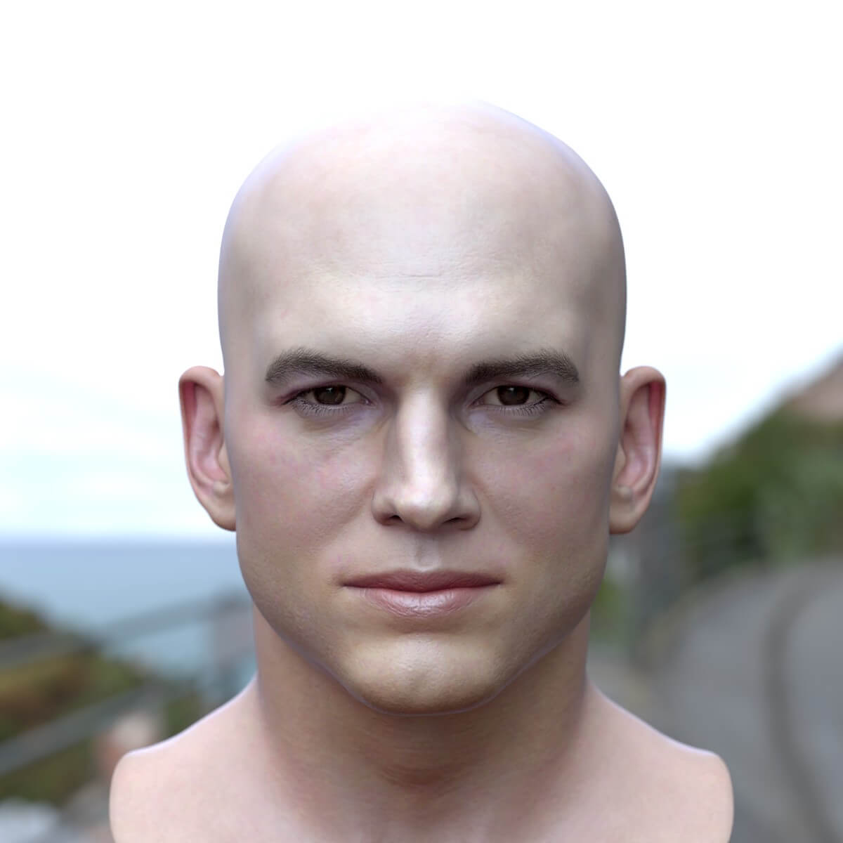 Ashton Kutcher Head - 3D Model by vefilanna