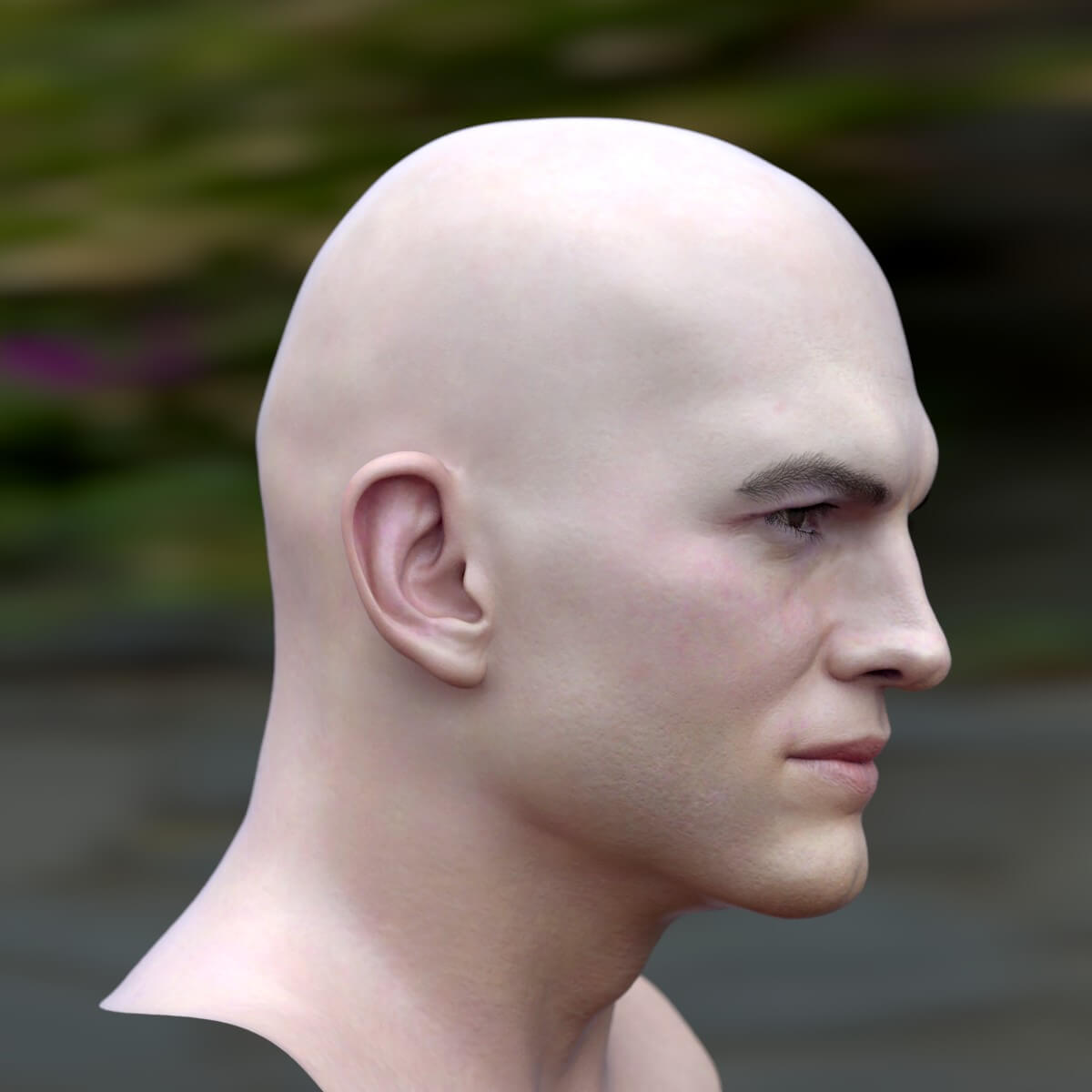 Ashton Kutcher Head - 3D Model by vefilanna