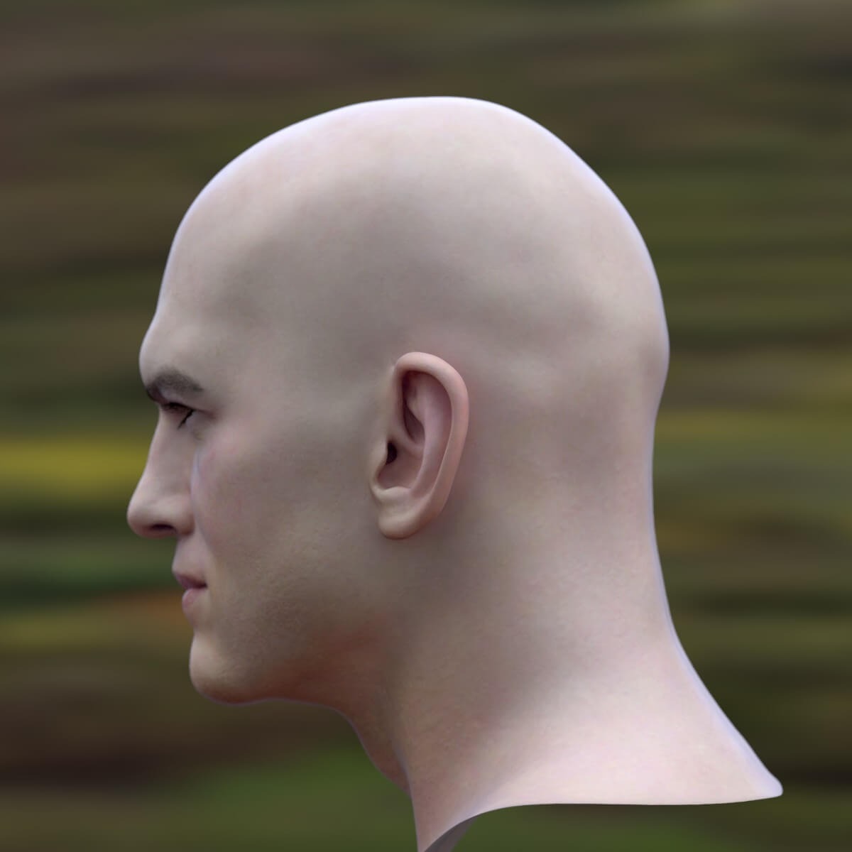 Ashton Kutcher Head - 3D Model by vefilanna