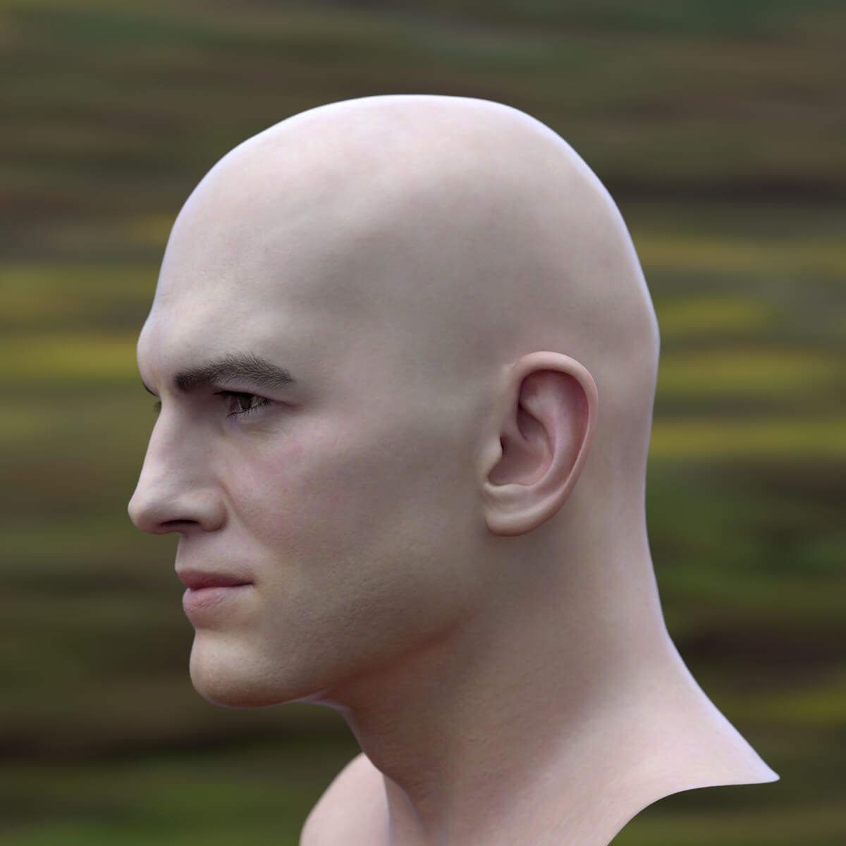 Ashton Kutcher Head - 3D Model by vefilanna