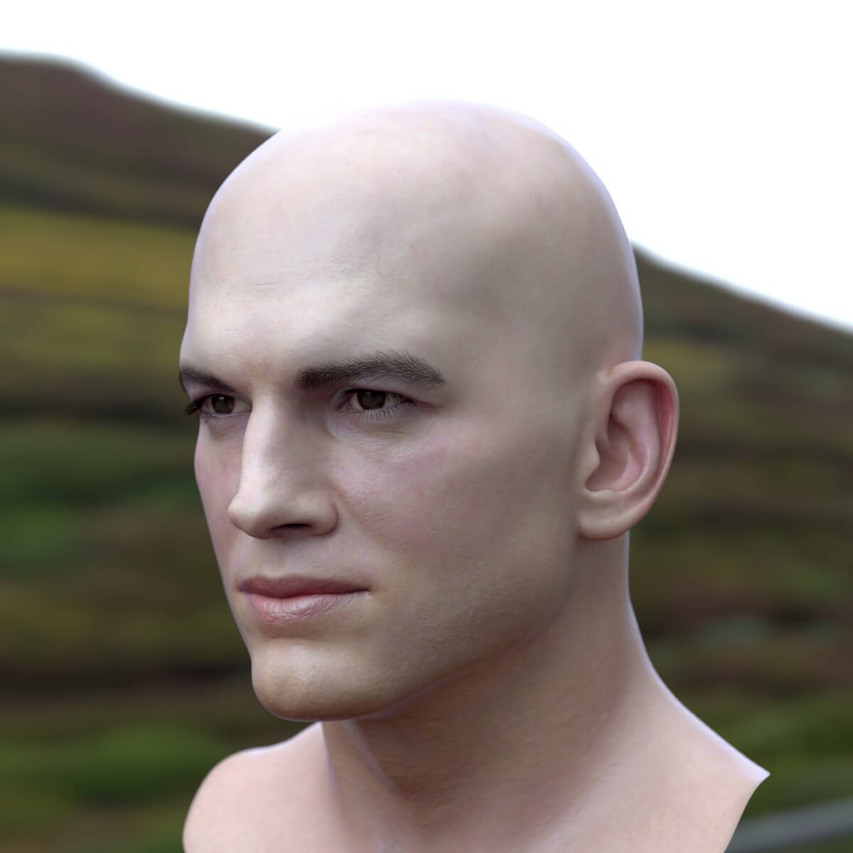 Ashton Kutcher Head - 3D Model by vefilanna