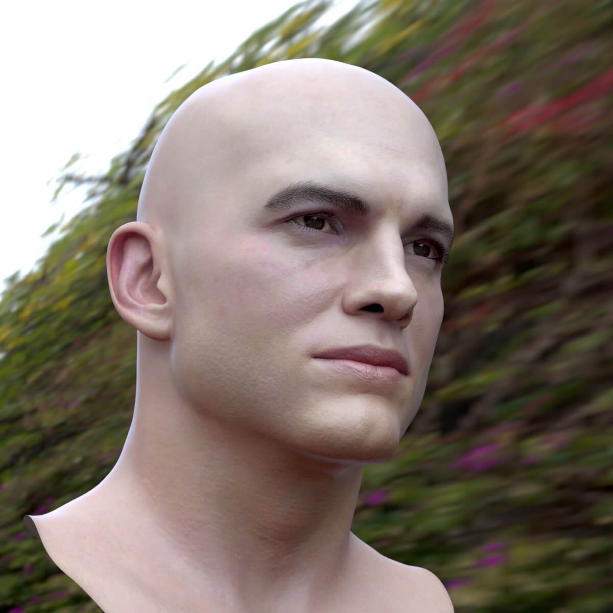 Ashton Kutcher Head - 3D Model by vefilanna