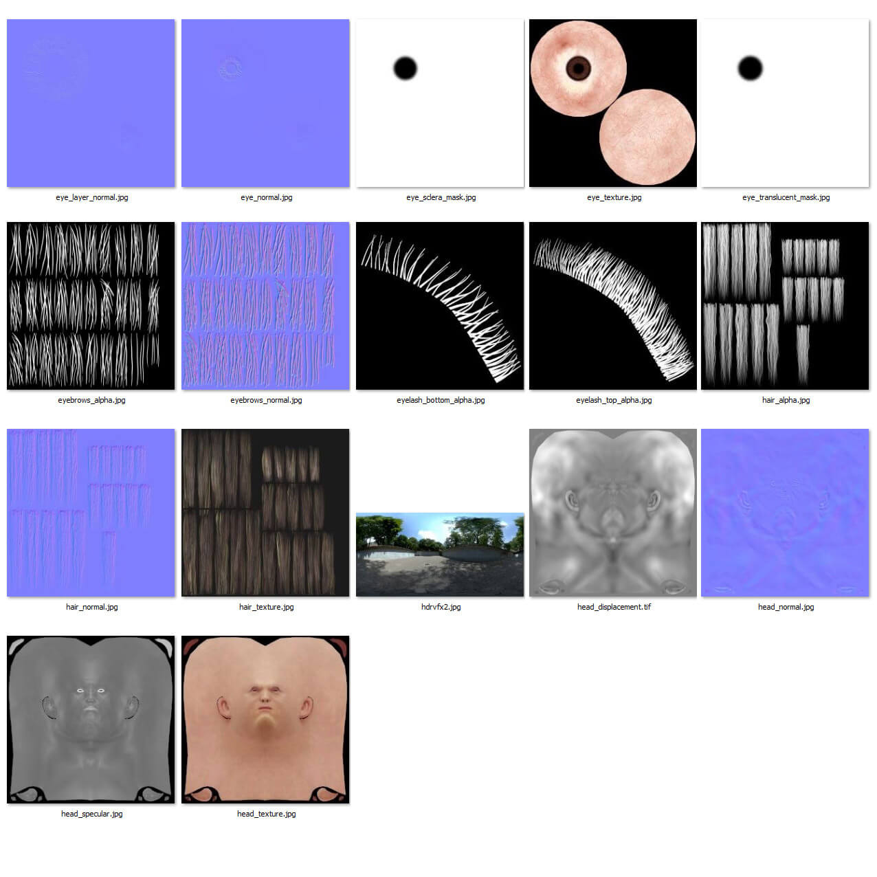 Ashton Kutcher Head - 3D Model by vefilanna