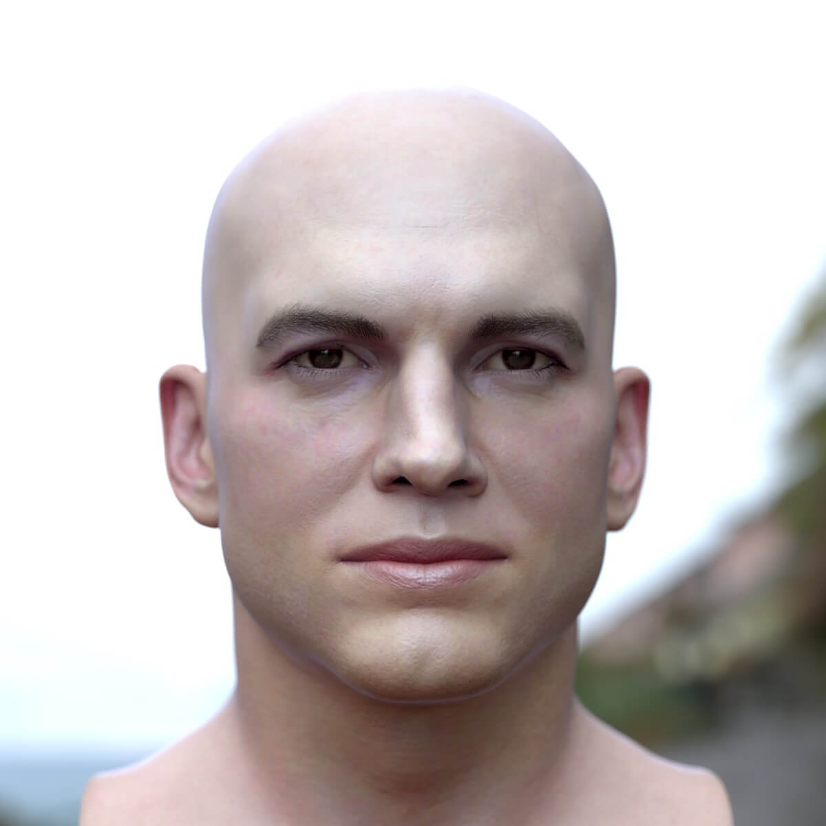 Ashton Kutcher Head - 3D Model by vefilanna