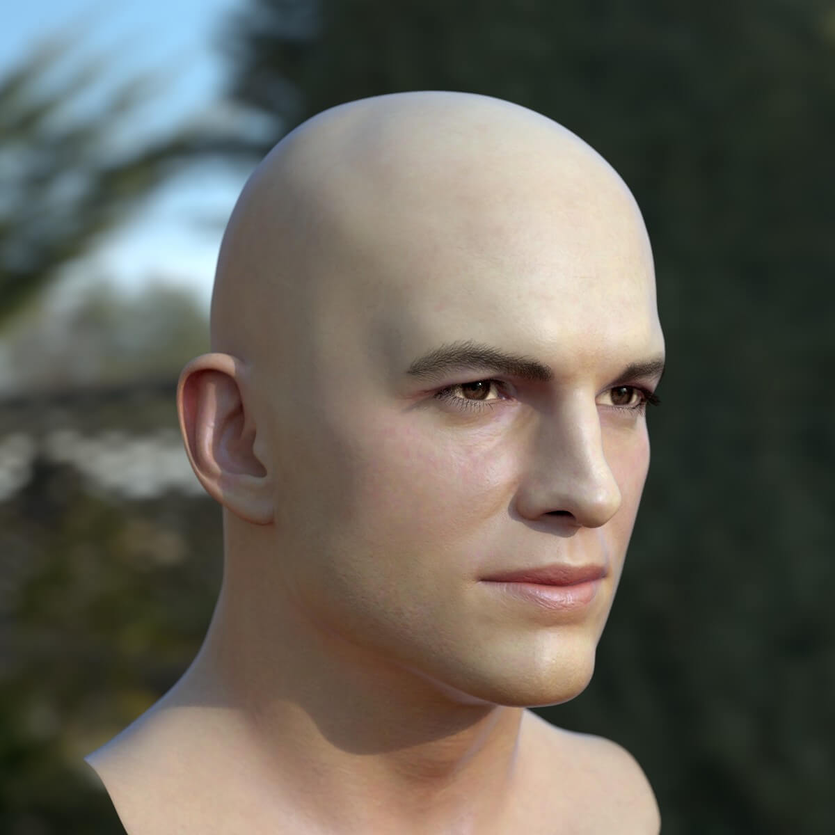 Ashton Kutcher Head - 3D Model by vefilanna
