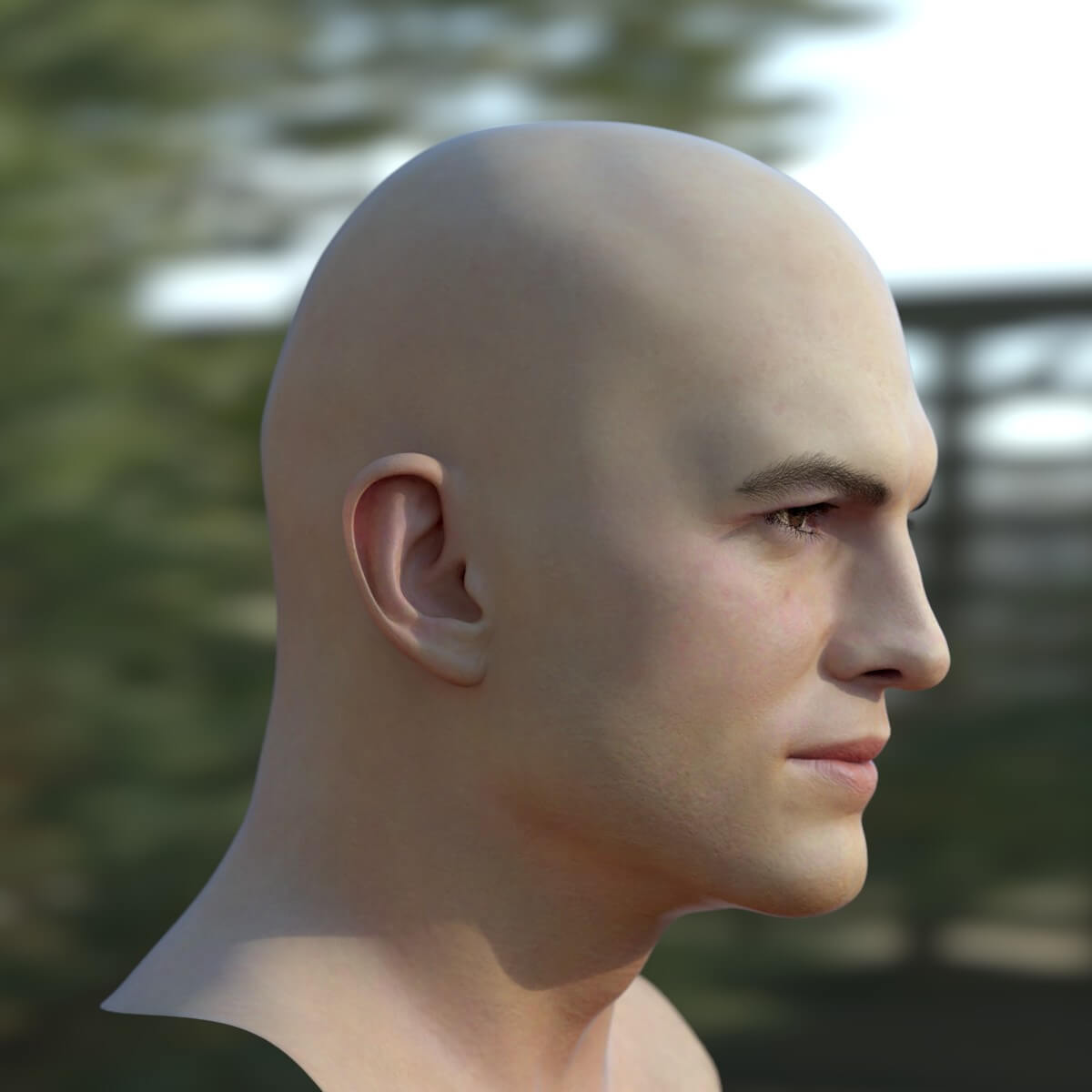 Ashton Kutcher Head - 3D Model by vefilanna