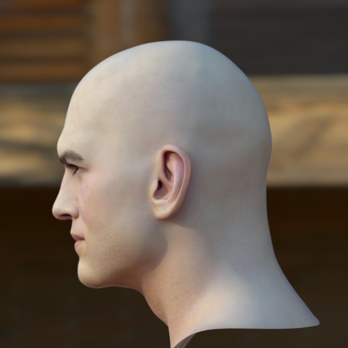 Ashton Kutcher Head - 3D Model by vefilanna