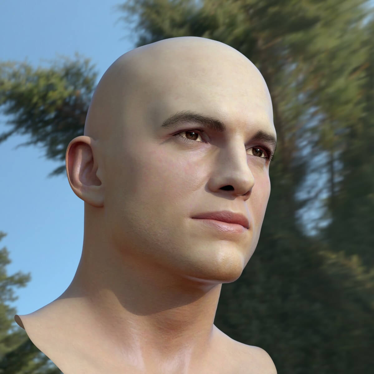 Ashton Kutcher Head - 3D Model by vefilanna